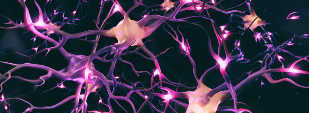 The power of Neuroplasticity: How the brain can heal itself after ...